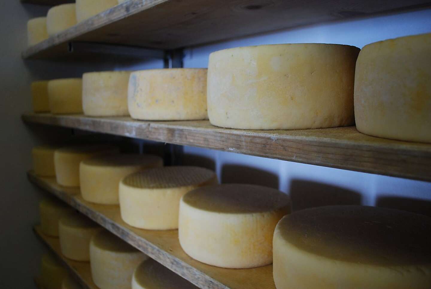 A Veneto journey to farm and table in one