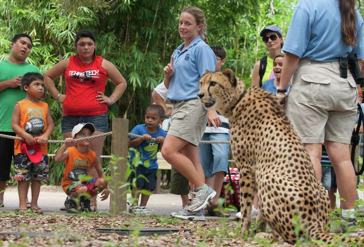 City zookeeper helps lions here and in Africa