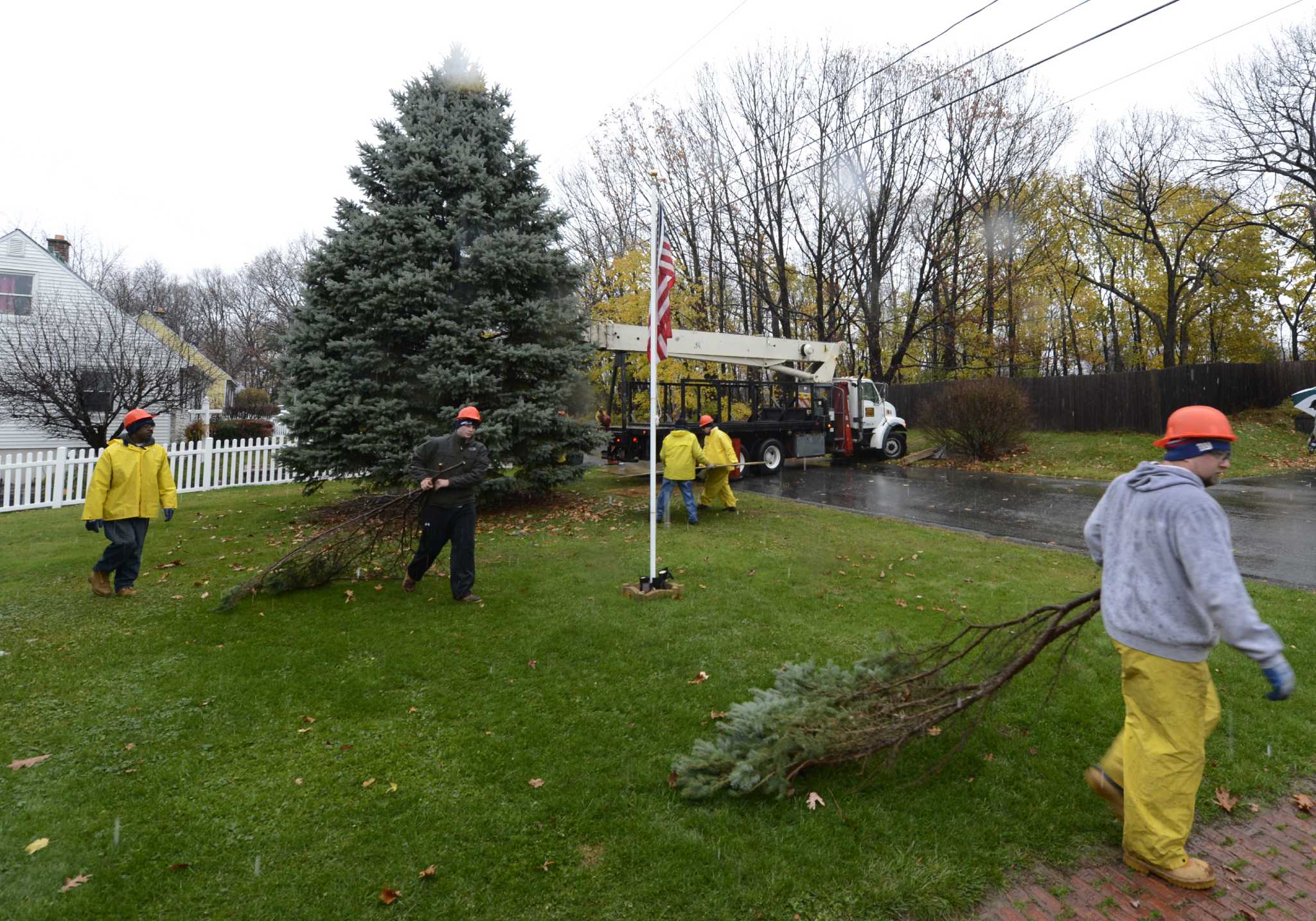 Readying tree for holiday display