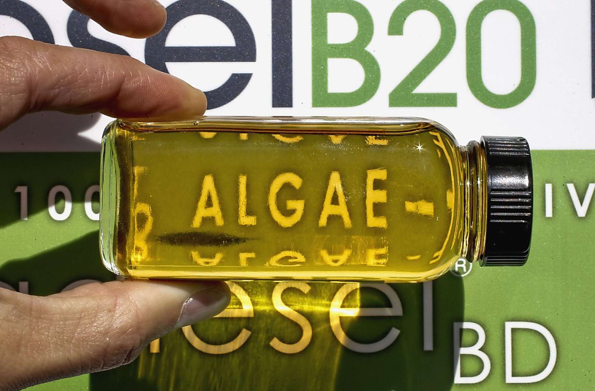 Algae-based fuel on sale in Bay Area