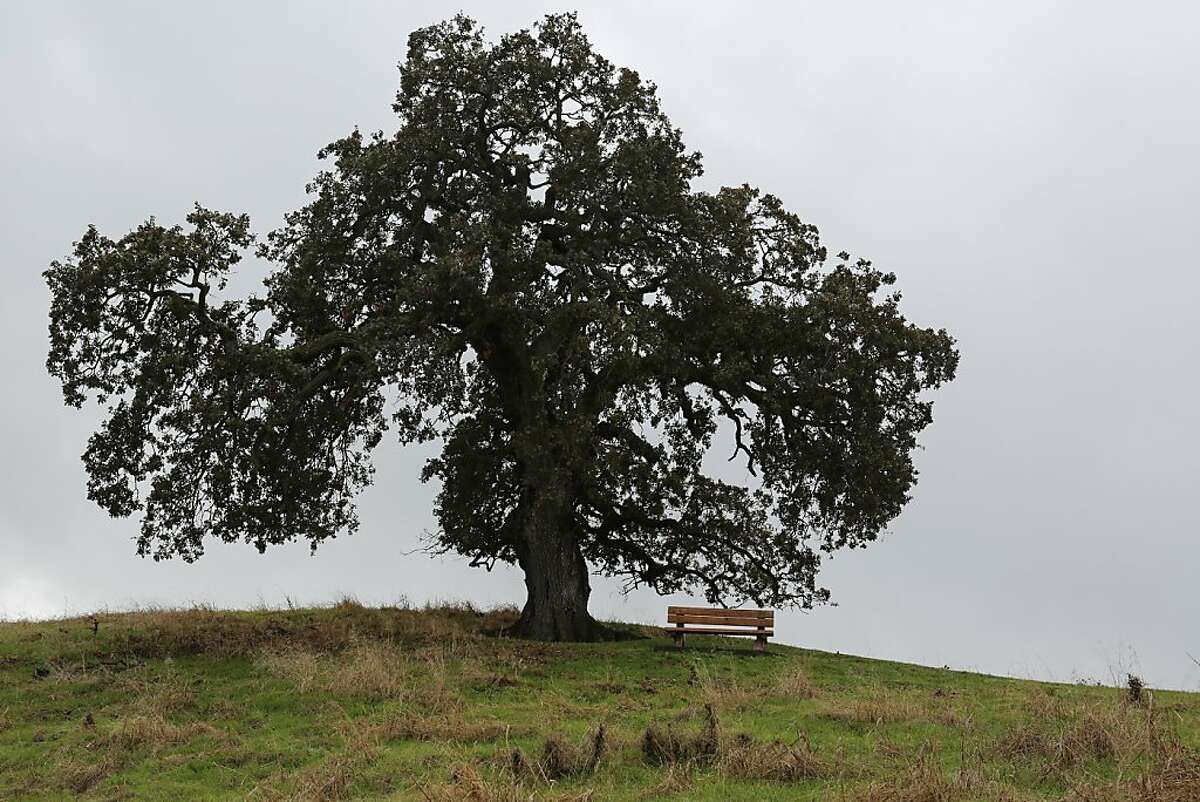 Sugarloaf Open Space a Walnut Creek treat