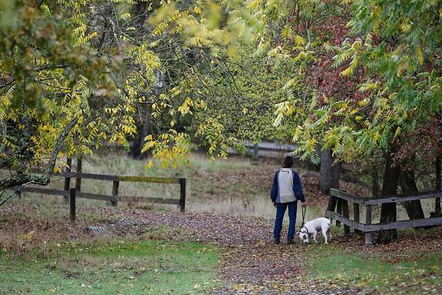 Sugarloaf Open Space a Walnut Creek treat