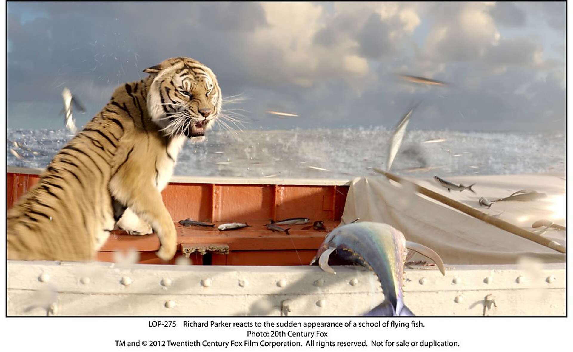 'Life of Pi' infinity and beyond