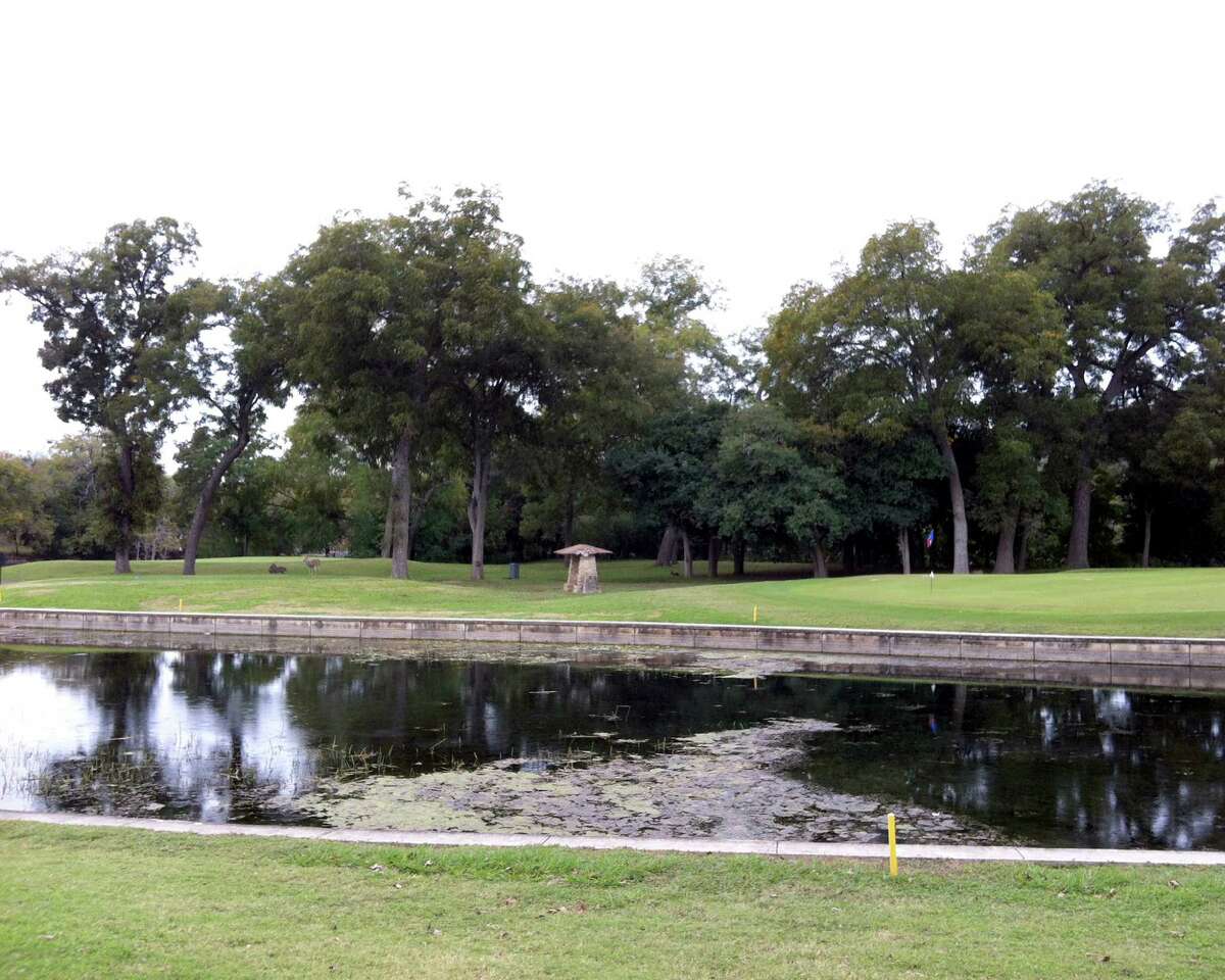 A Round Here: Landa Park Golf Course