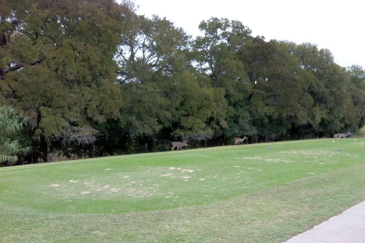 A Round Here: Landa Park Golf Course