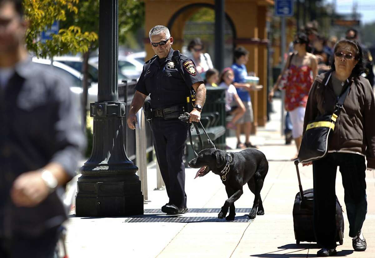 Caltrain track patrols help halt suicides