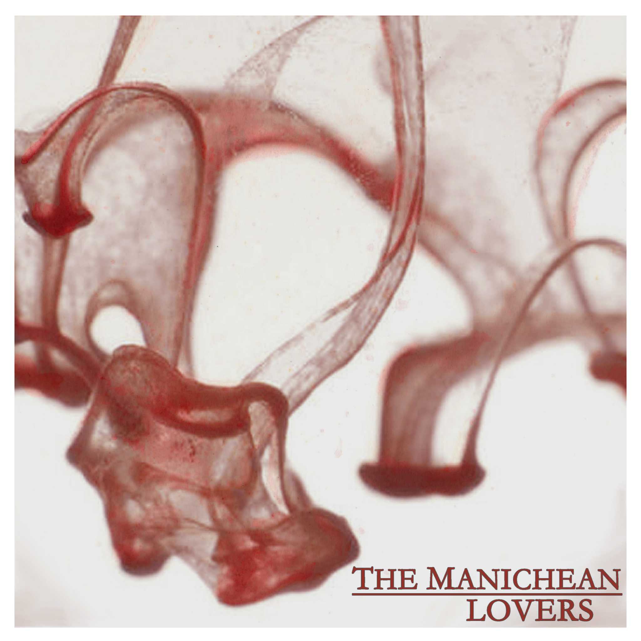 Manichean has a flair for the dramatic