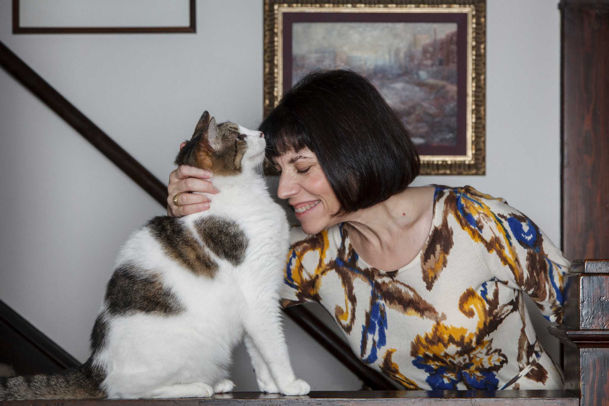 "Cat Lady Chronicles" teaches its author about herself, too