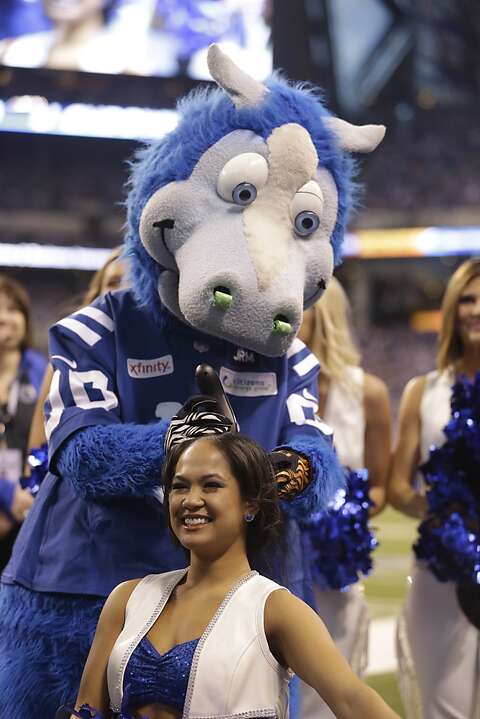 Colts cheerleaders shave heads for Pagano