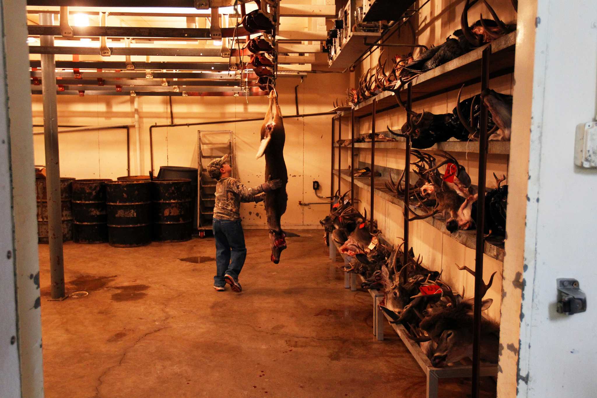 Deer processors expecting better season