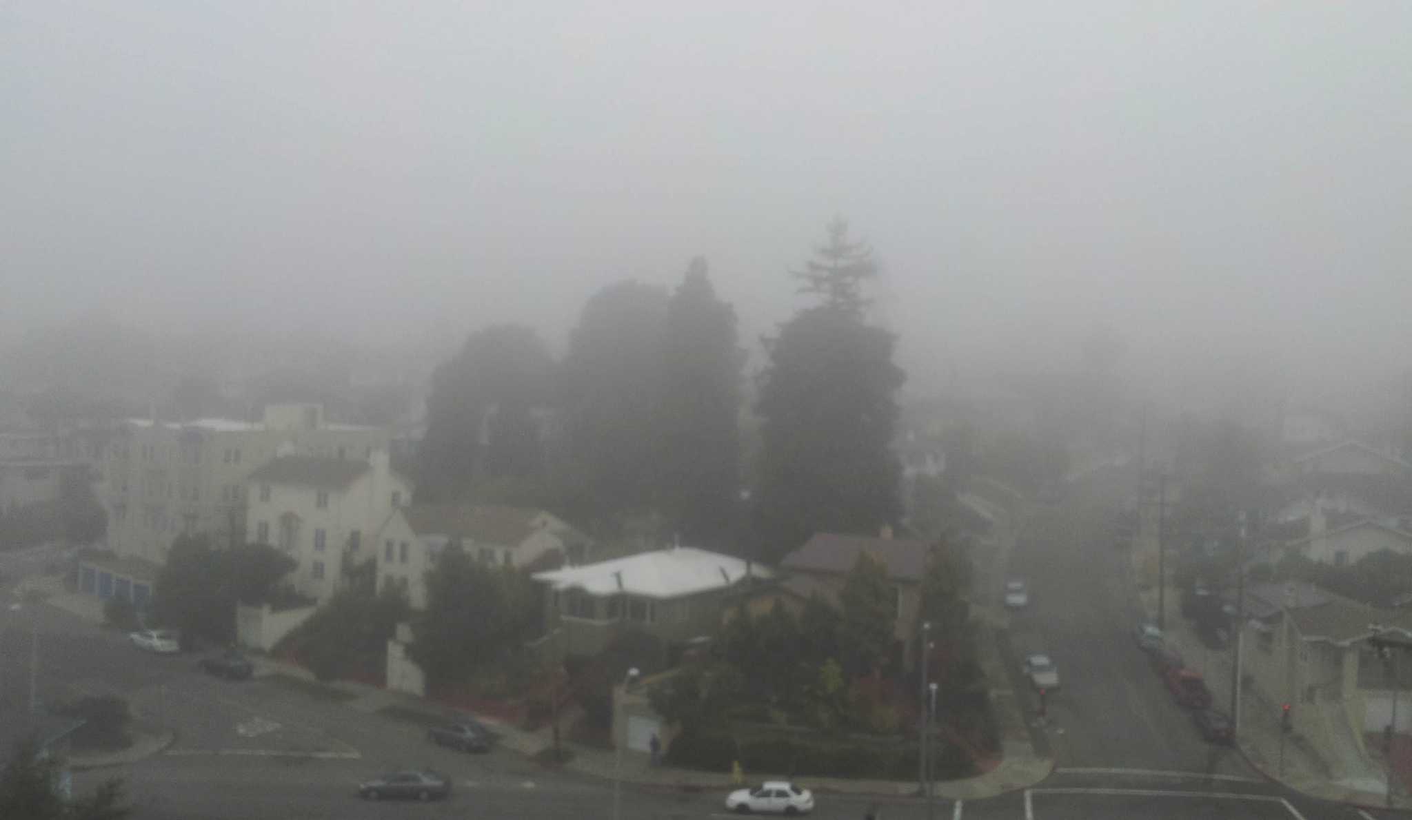 Dense fog delays flights at SFO