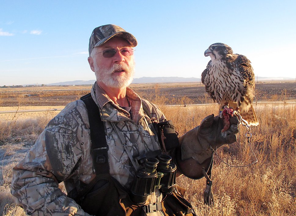 Hunting with raptors preserves history