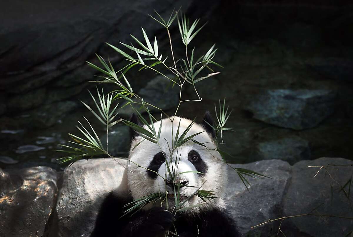 Day in Pictures, Nov. 29, 2012