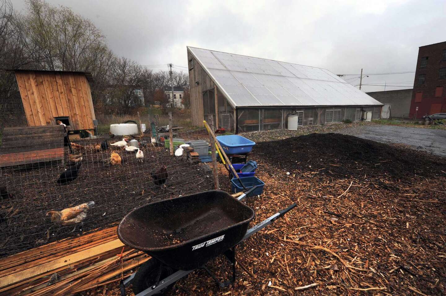 Bringing the farm to city kids