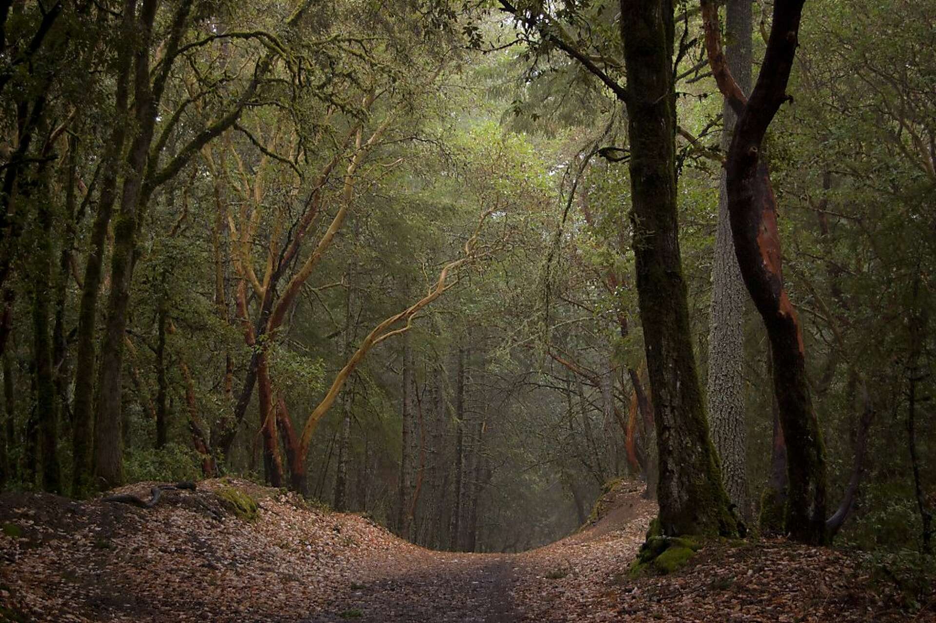 Best of the Midpeninsula district parks