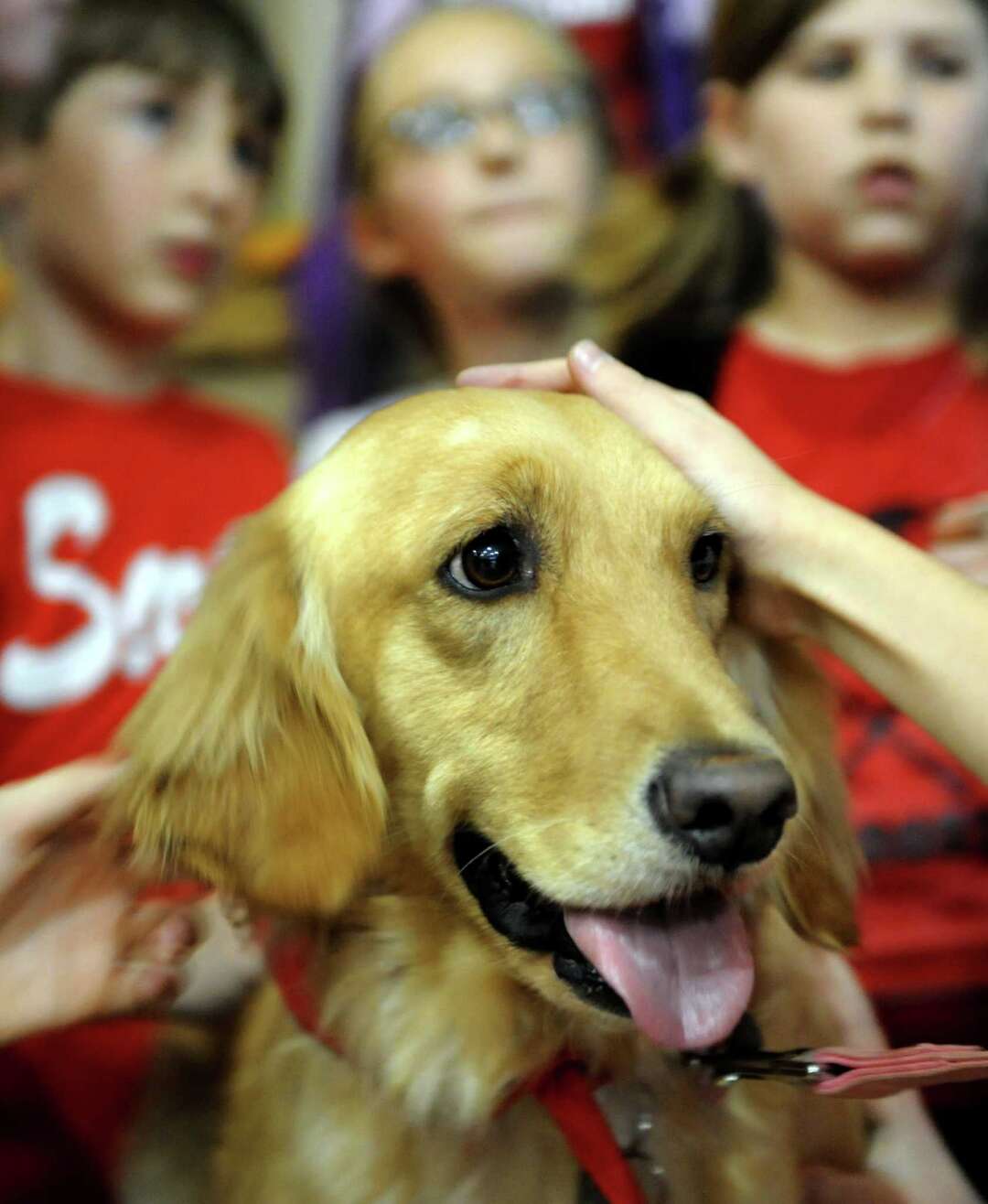 Photos: Therapy dog visits school