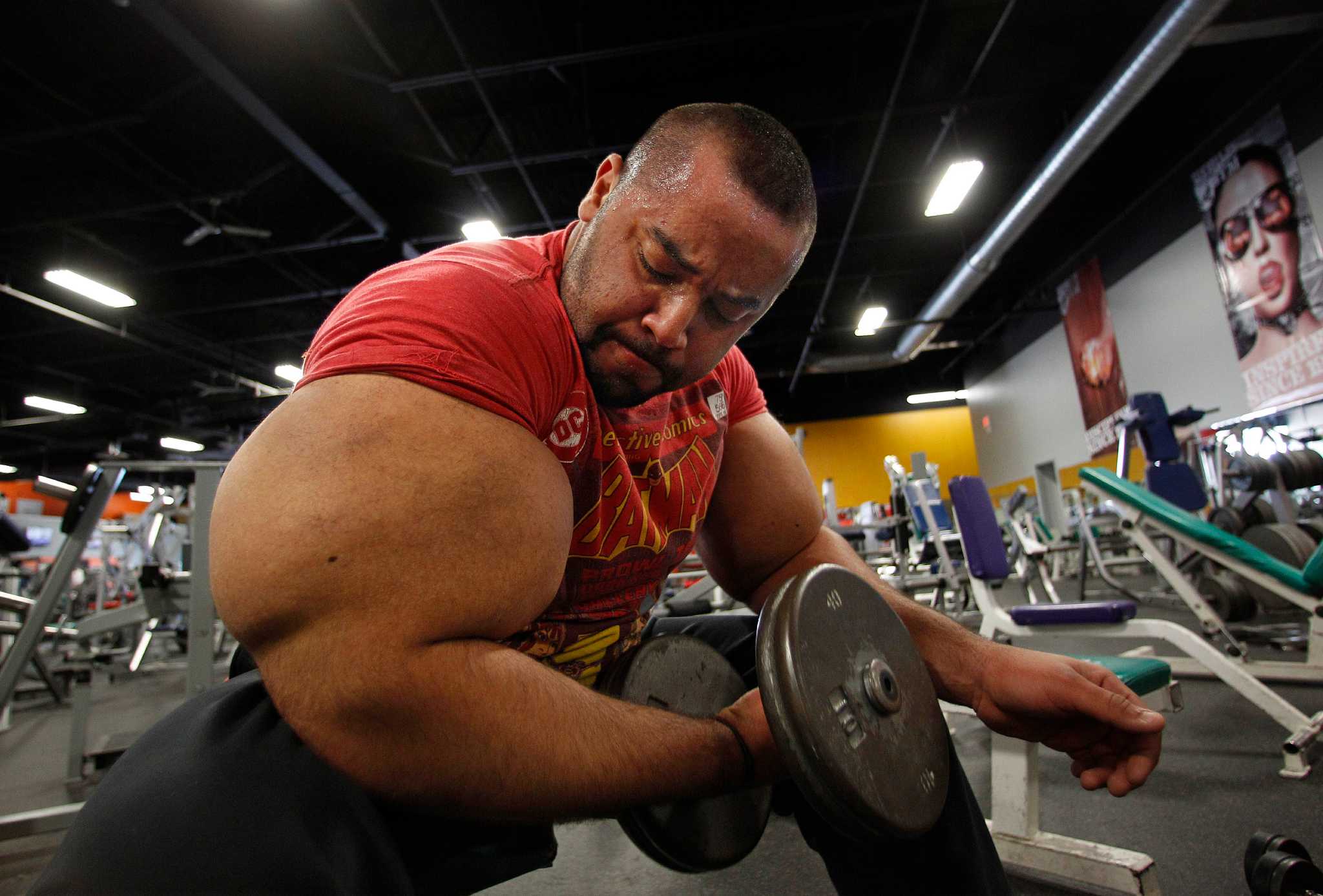 World s Biggest Arms
