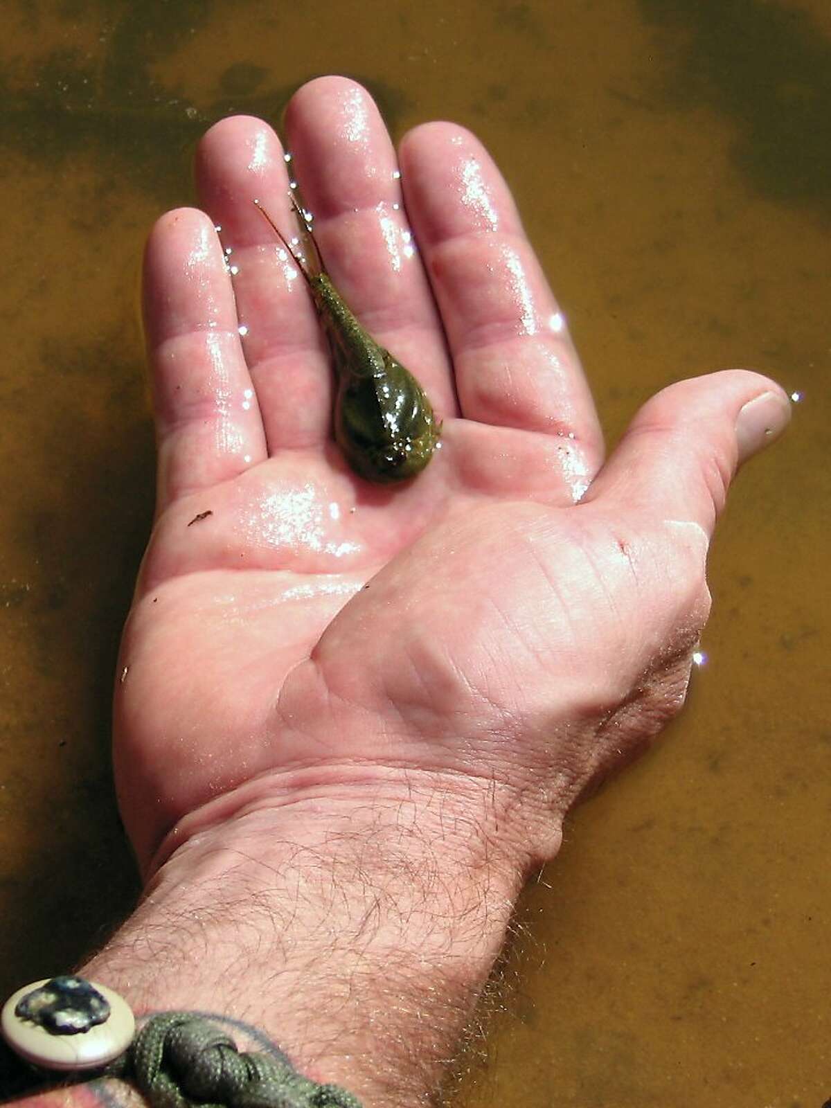 Visiting Arizona's remote, gorgeous Wave