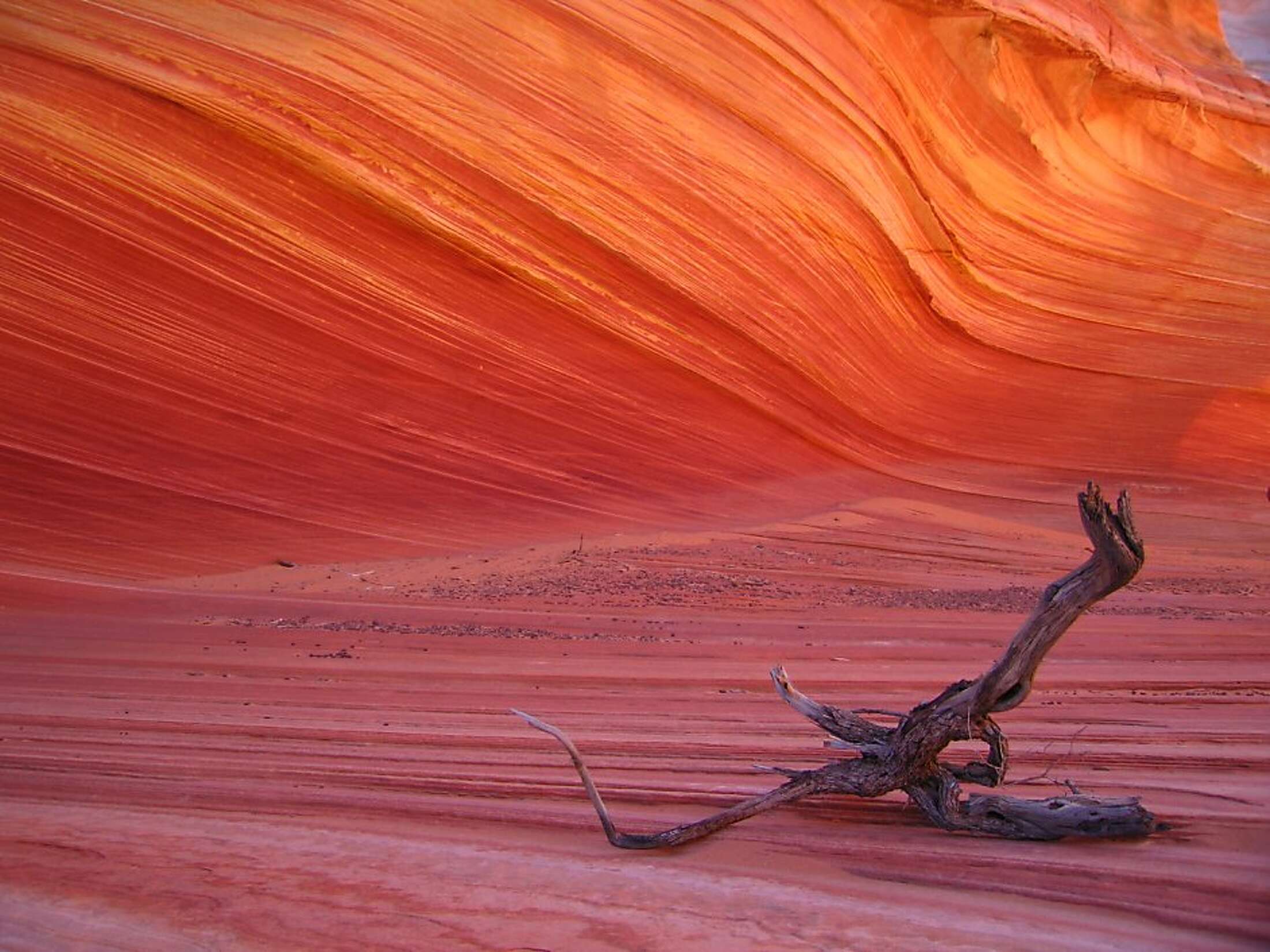 Visiting Arizona's remote, gorgeous Wave