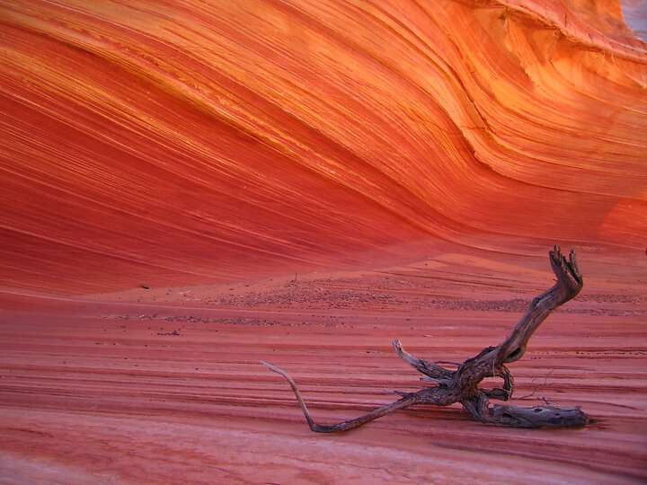 Visiting Arizona's remote, gorgeous Wave