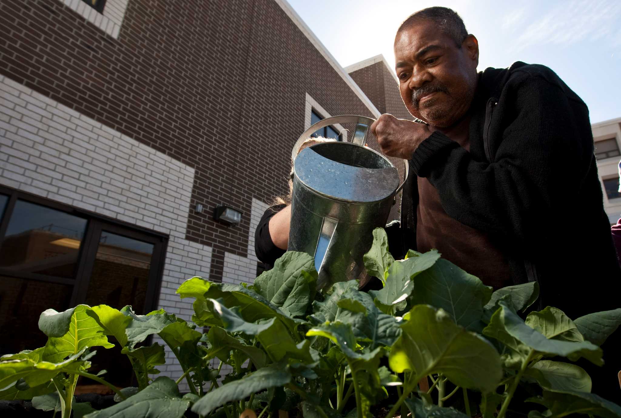 Horticultural therapy garden helps patients heal