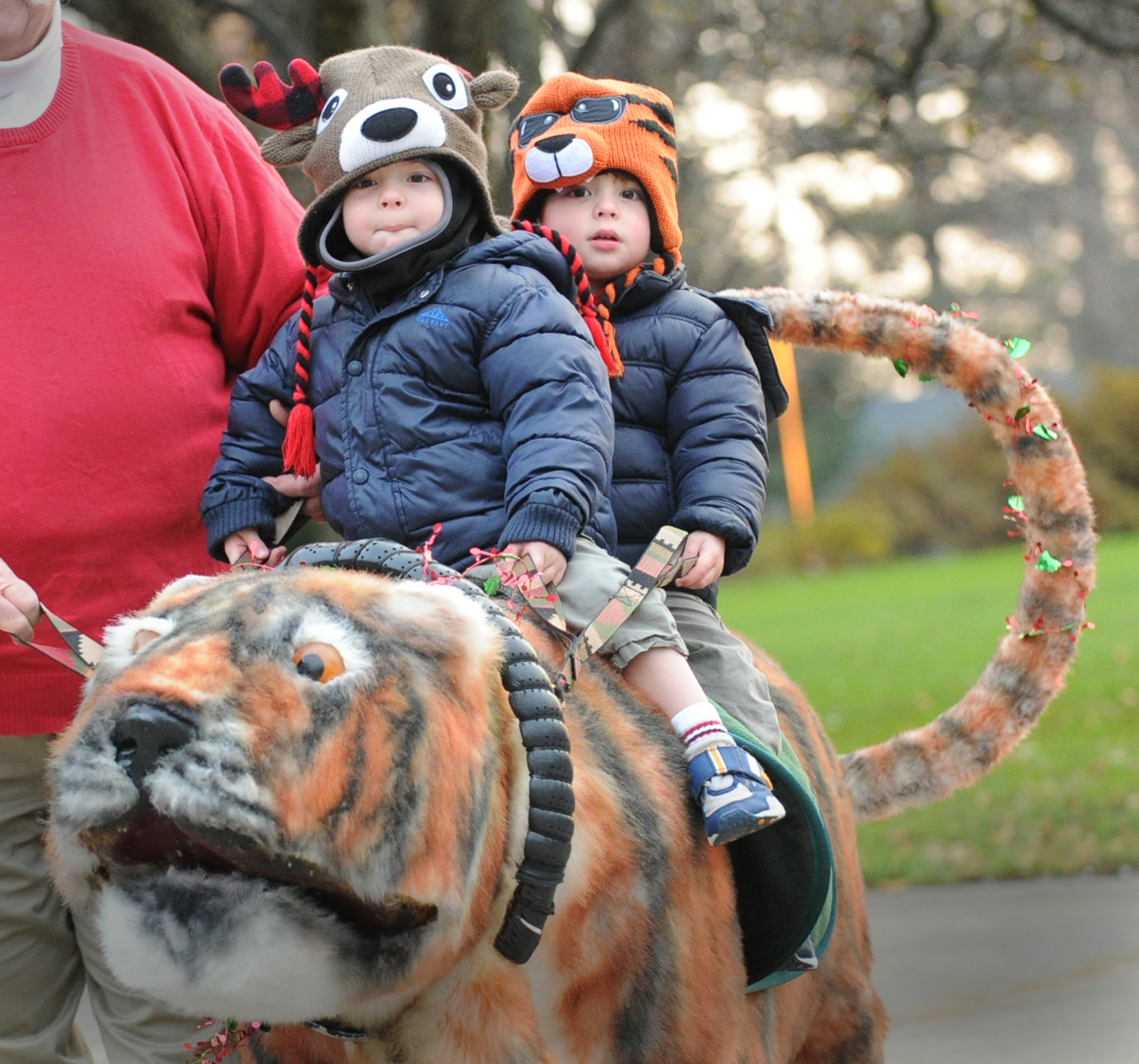 Multiple generations enjoy festive tree-lighting