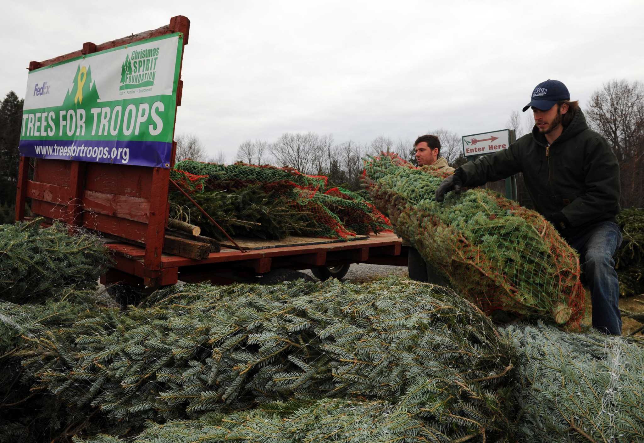 Gathering harvest for Trees for Troops