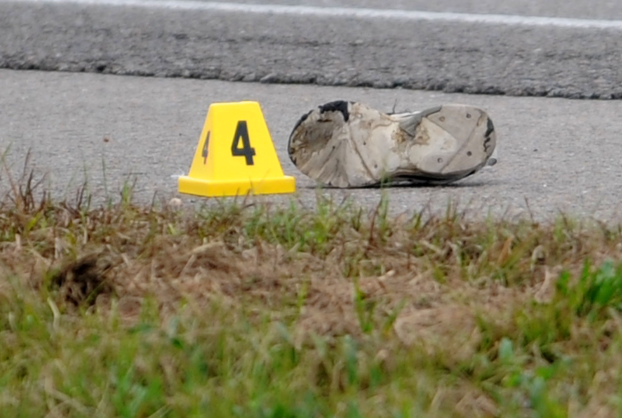 Man Questioned In Fatal Hit And Run