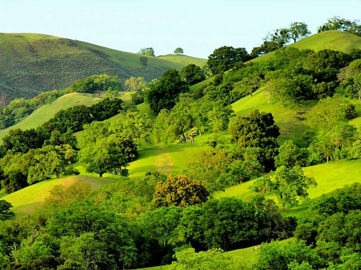 Sunday Drive: Sunol Regional Wilderness