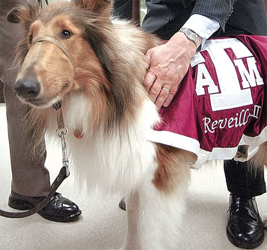 What it means to be an Aggie - Houston Chronicle