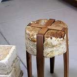 Philip Ross crafts furniture from mycelium - SFGate