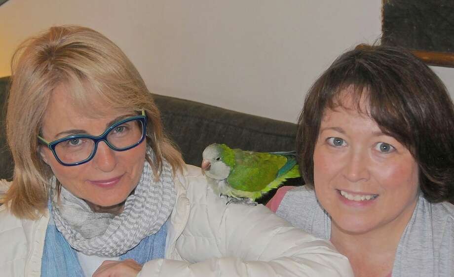 'Plucky' heads home on wings of benefactor - Times Union