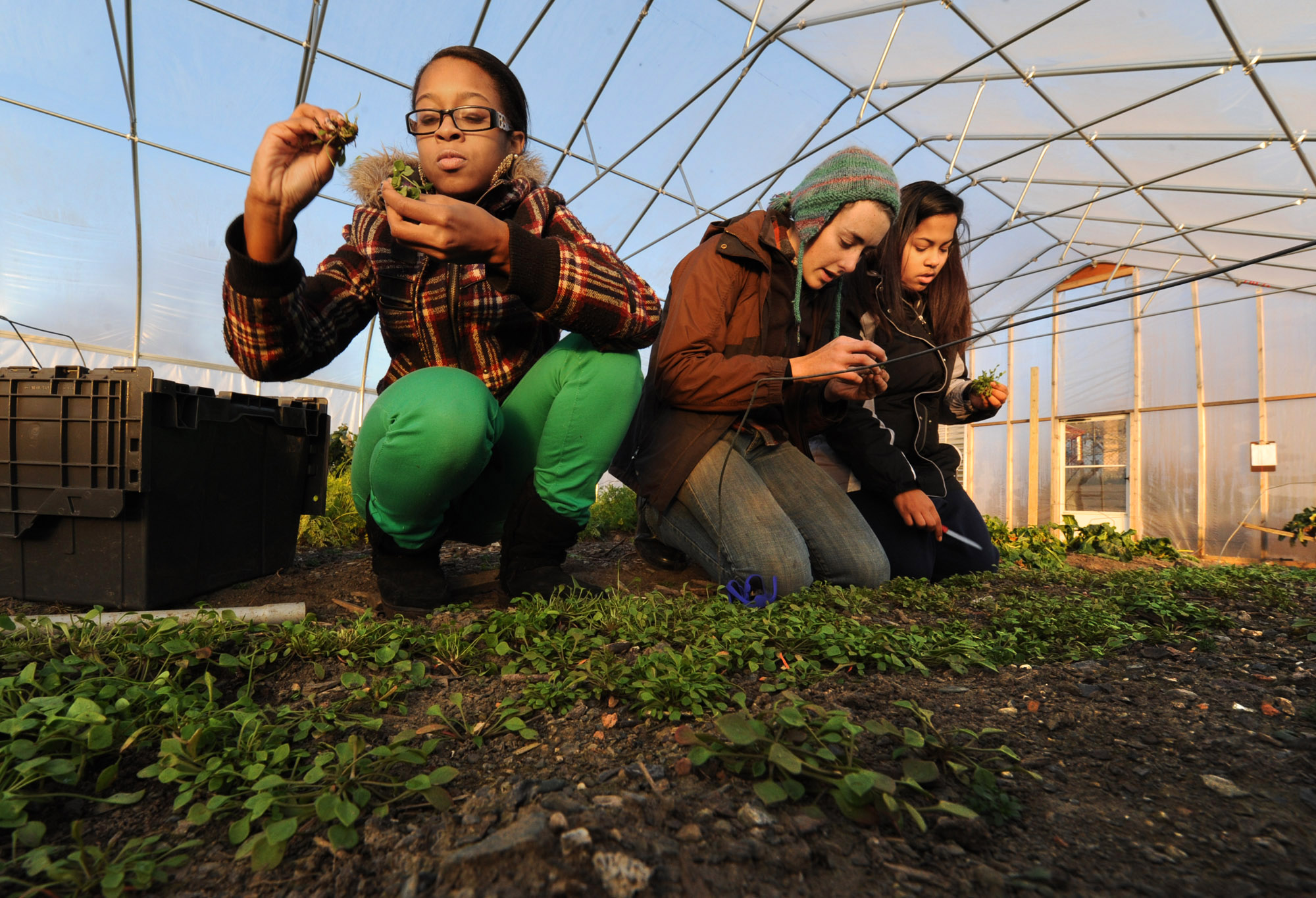 On the farm, lessons learned