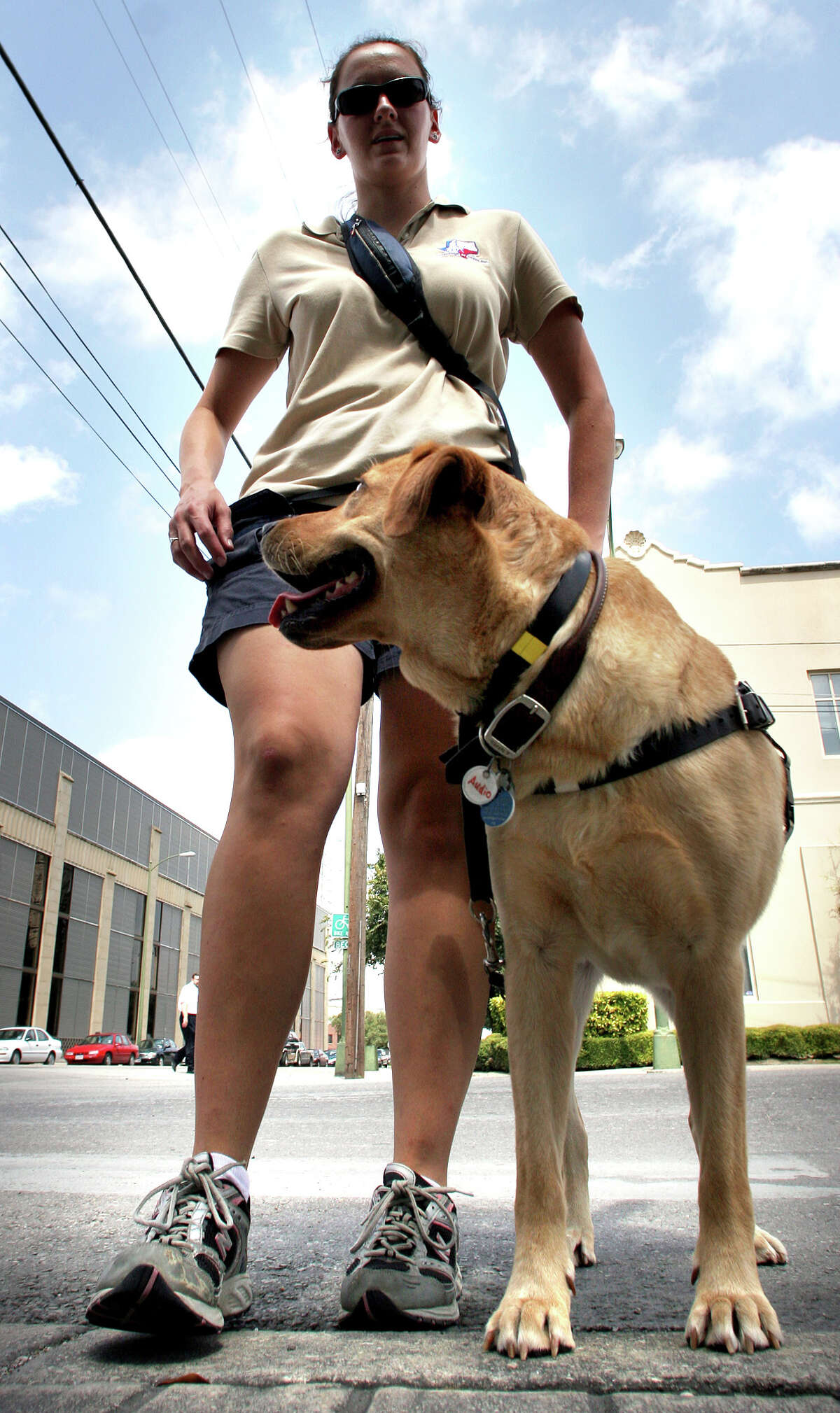 Guide Dogs of Texas seeks volunteers
