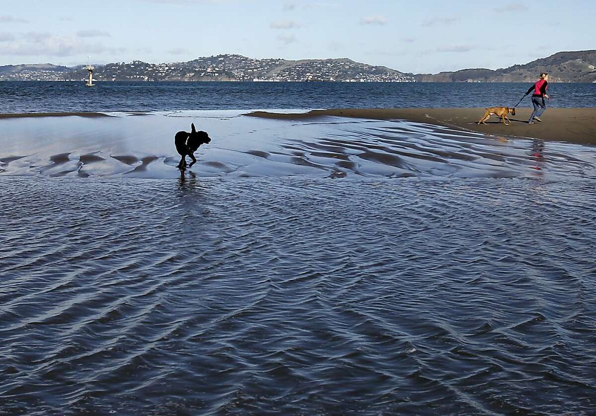 High tides bring S.F. Bay Area flooding