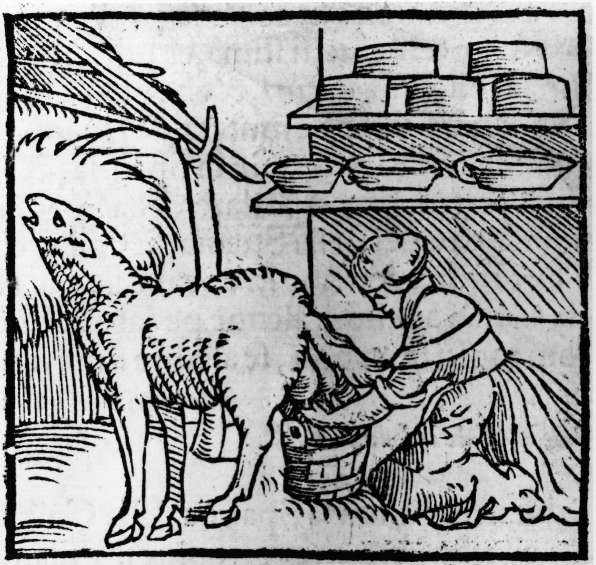 Cheese through the centuries