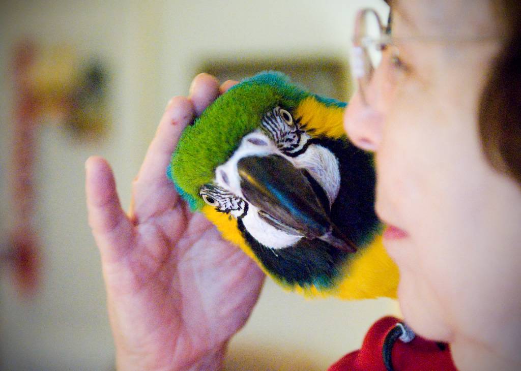 The Dart -- They call her the 'Bird Lady'