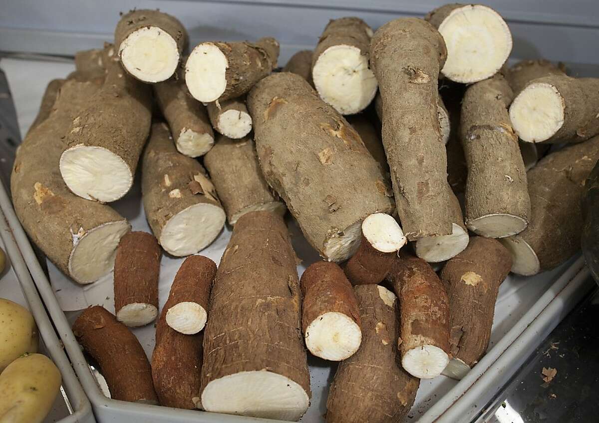 Brazil's humble manioc goes upscale