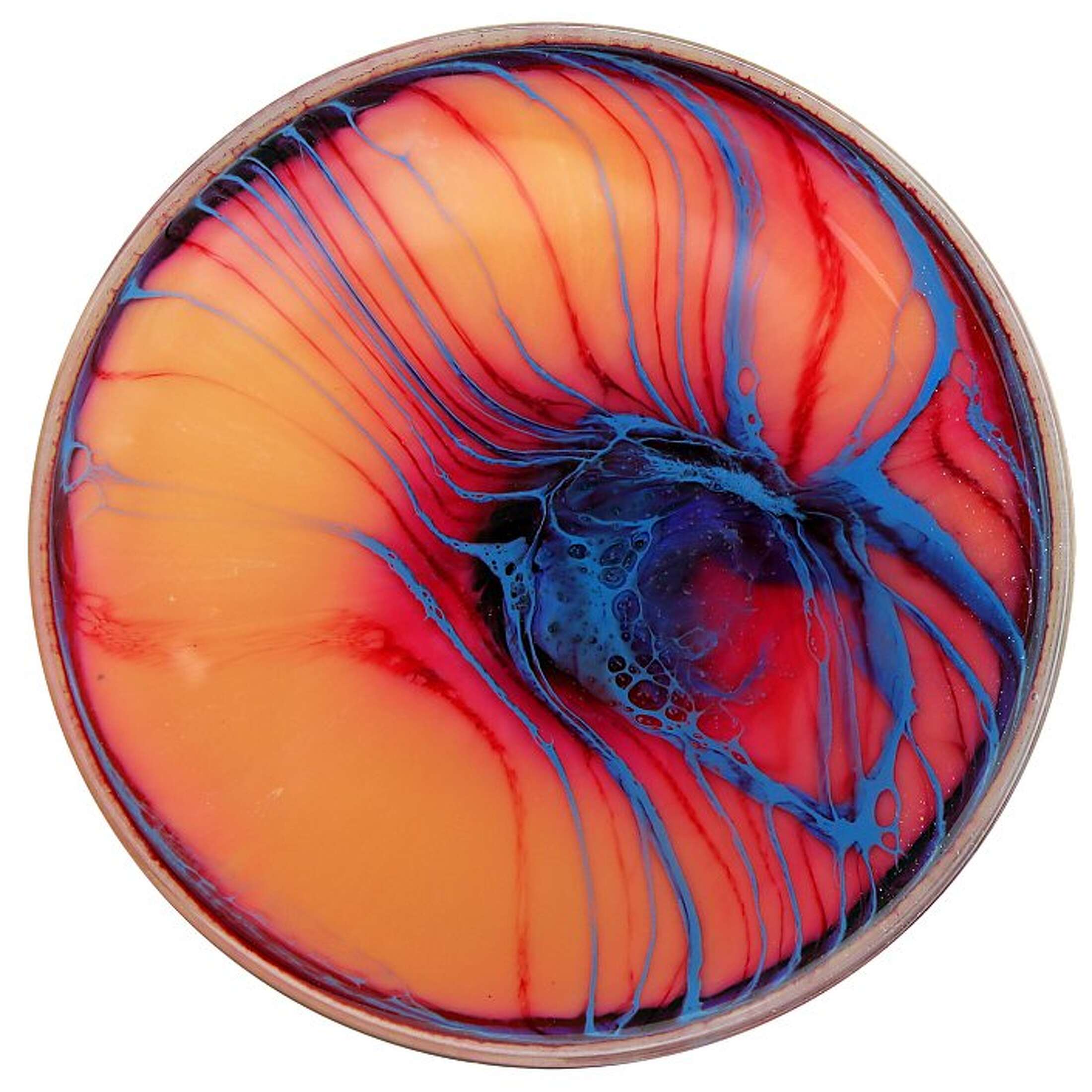 Artist Klari Reis works in epoxy polymer