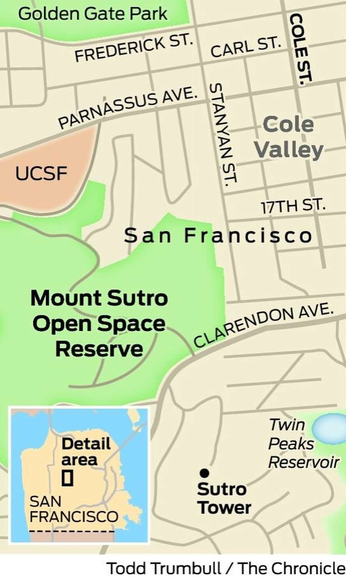 Mount Sutro: a forest walk in the city