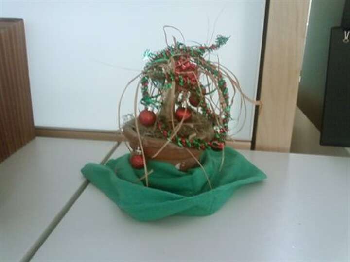 Got the worst tree? Enter the Charlie Brown Christmas tree contest
