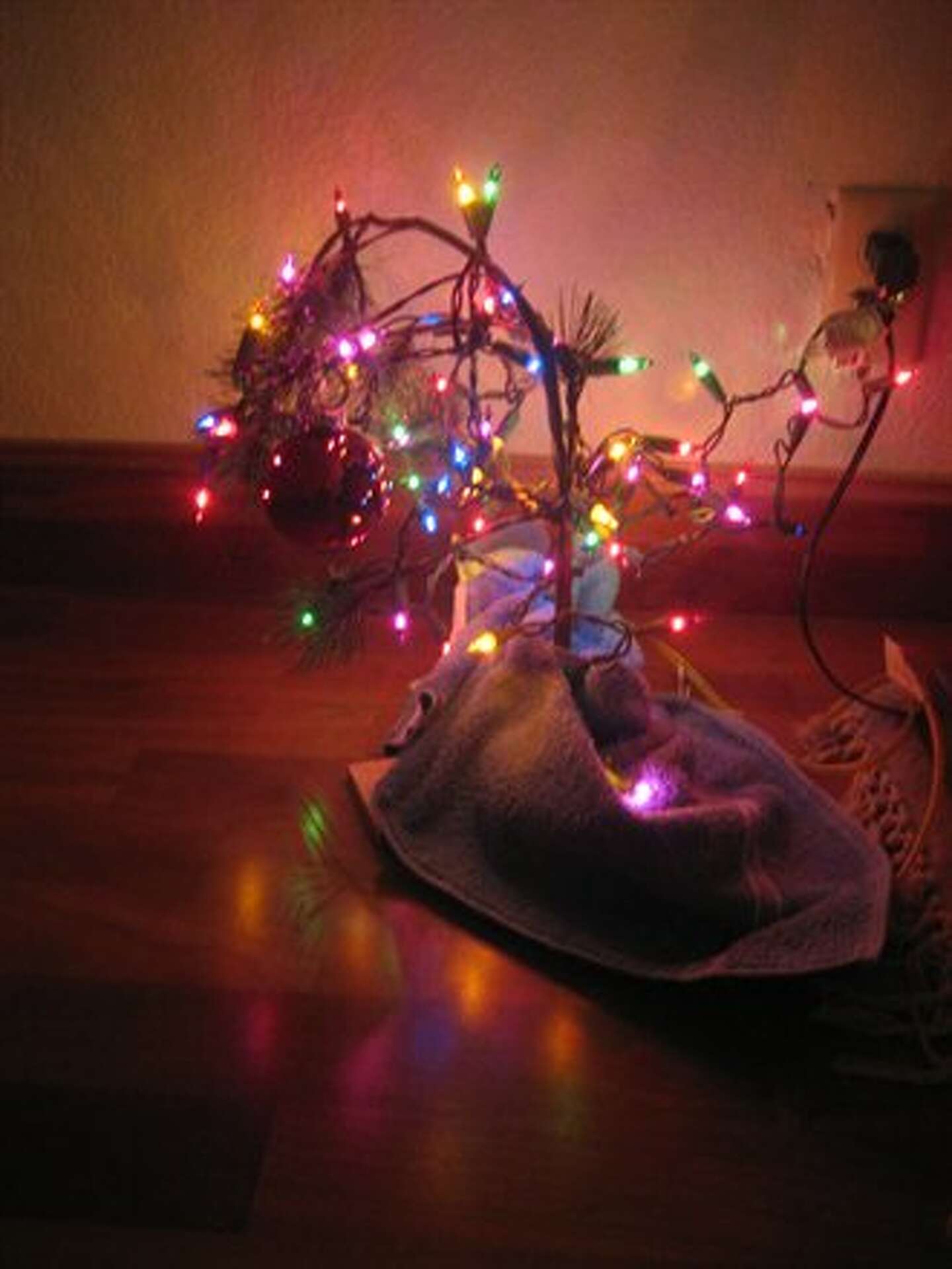 Got the worst tree? Enter the Charlie Brown Christmas tree contest