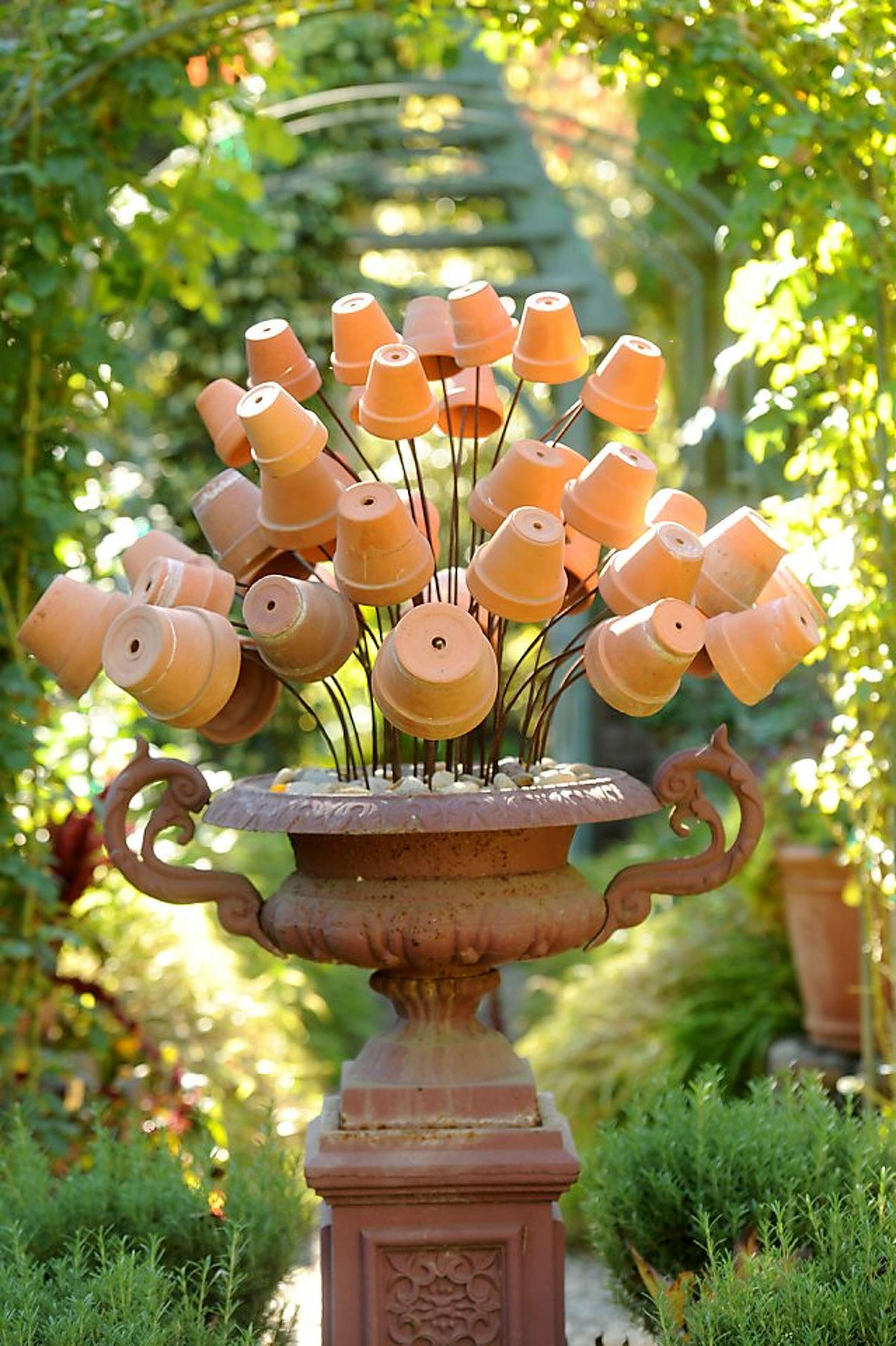 Freeland Tanner's Napa garden