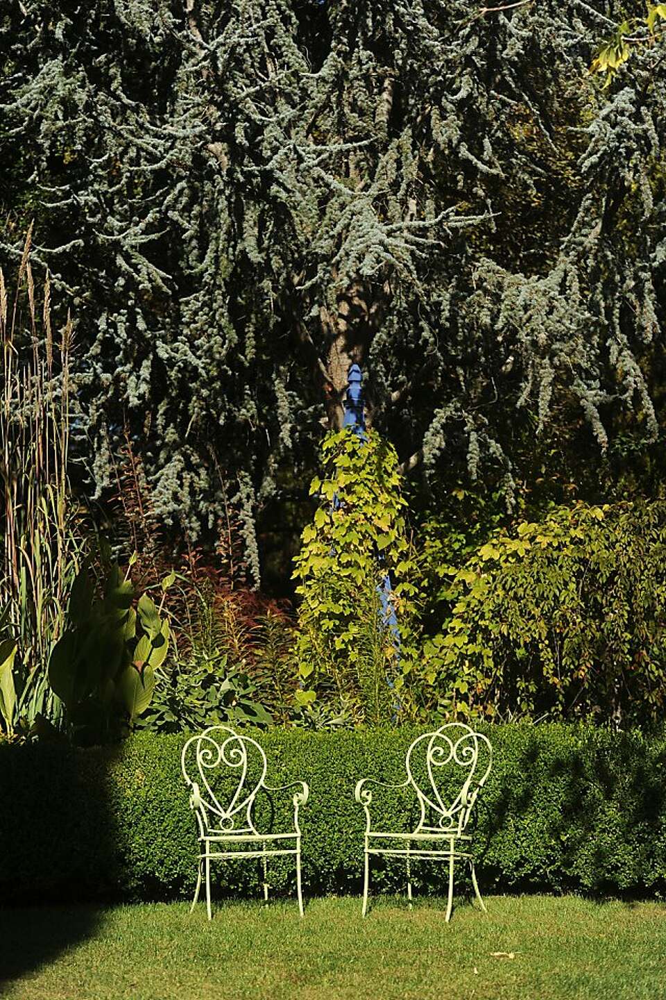 Freeland Tanner's Napa garden