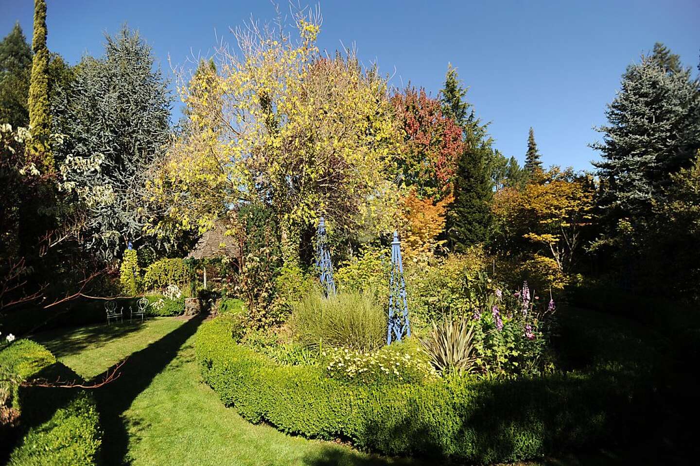 Freeland Tanner's Napa garden