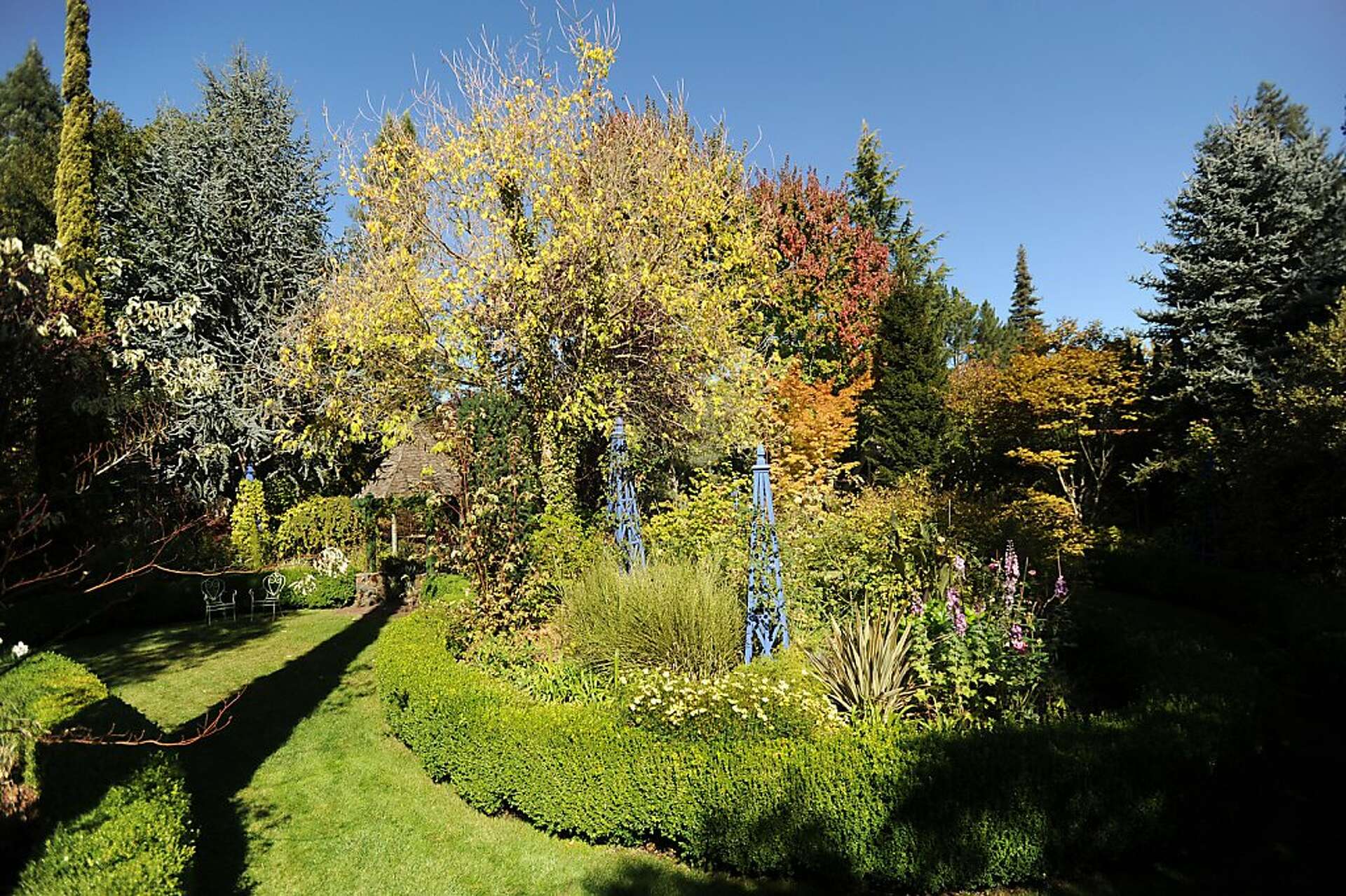 Freeland Tanner's Napa garden