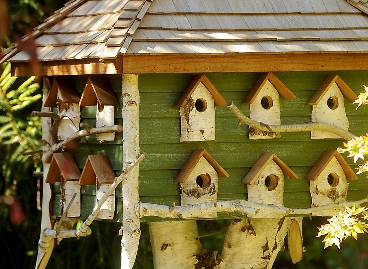 Freeland Tanner's Napa garden
