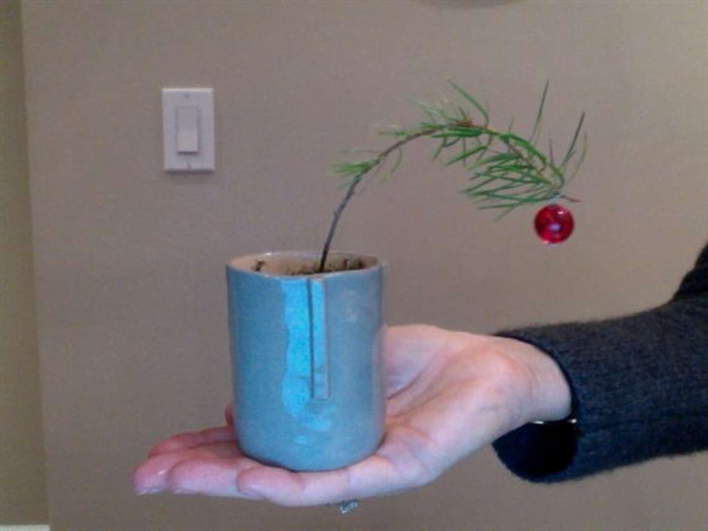 Got the worst tree? Enter the Charlie Brown Christmas tree contest