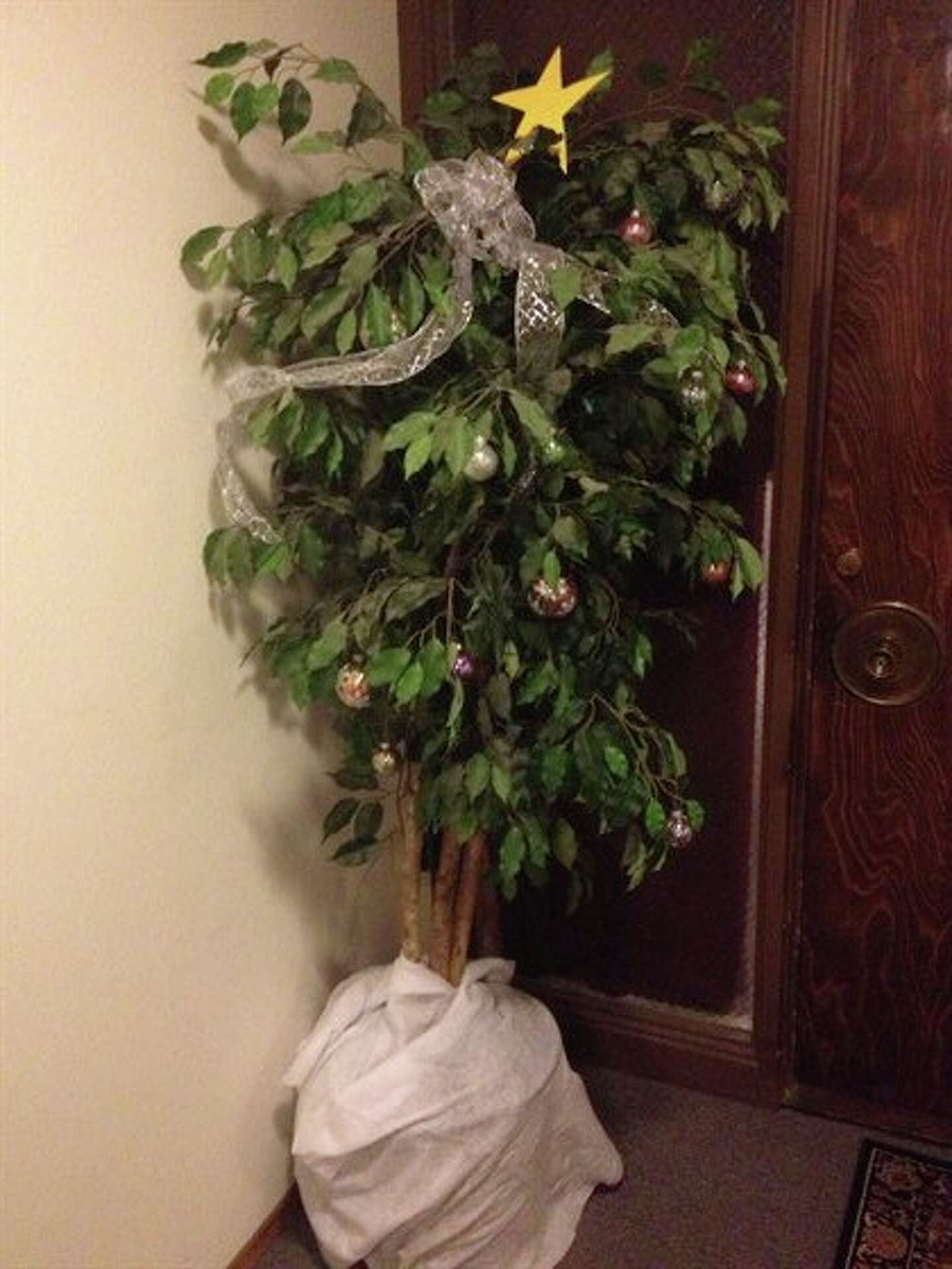 Got the worst tree? Enter the Charlie Brown Christmas tree contest