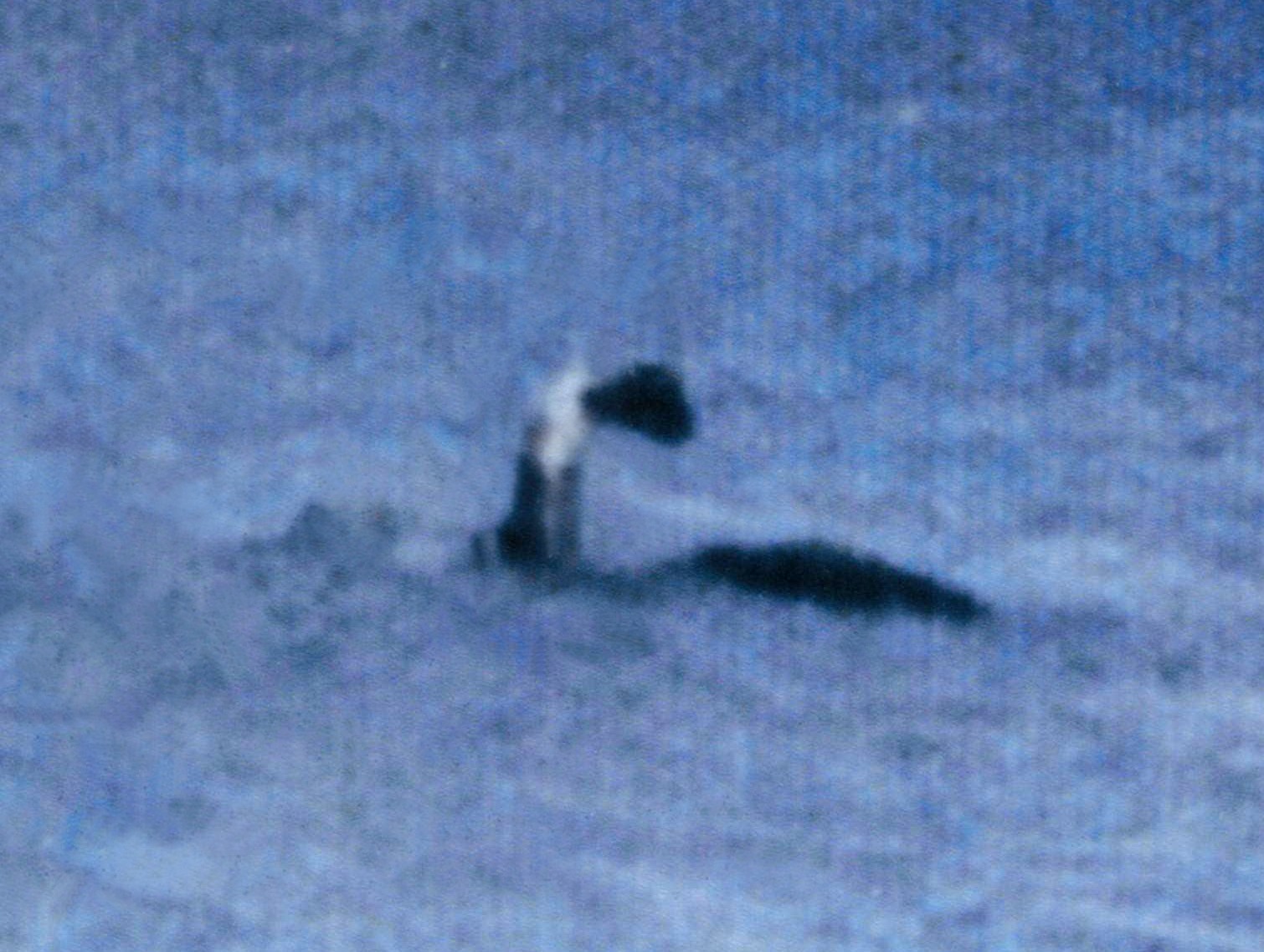 Photos: Champ, the sea monster